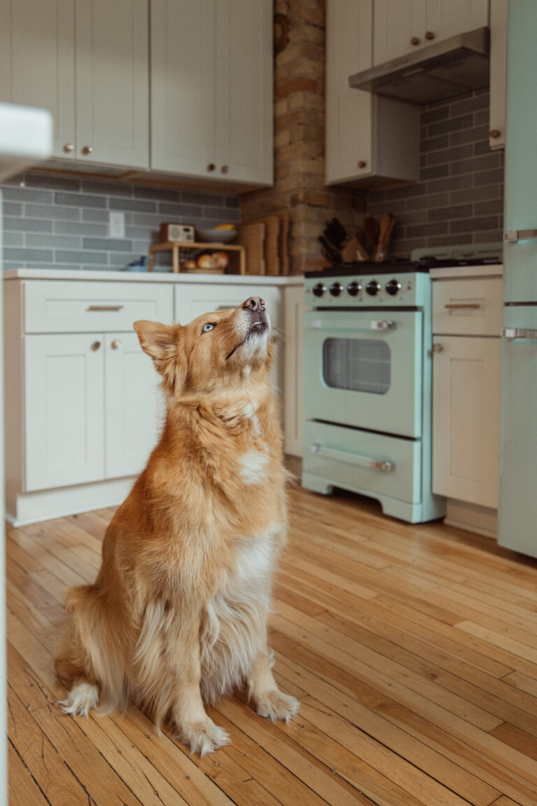 Project Reveal: Retro Kitchen Remodel in Historic Seward Neighborhood ...